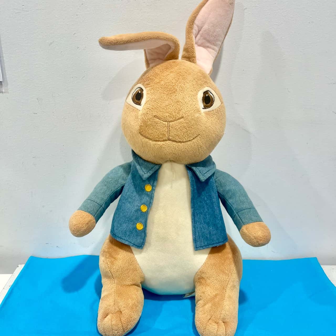 Large Peter Rabbit Plush Toy (s)