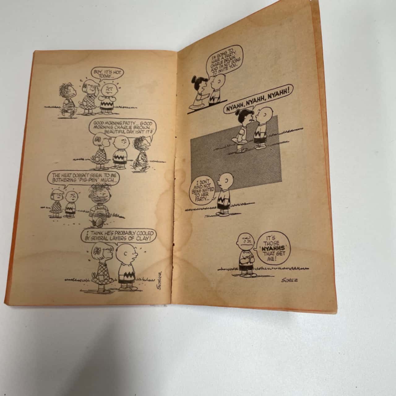 Here Comes Charlie Brown & Fun With Peanuts Books(s)