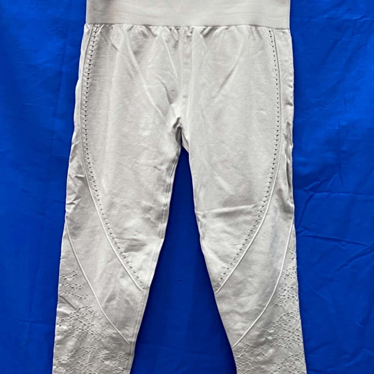 Fabletics gym pants(s)