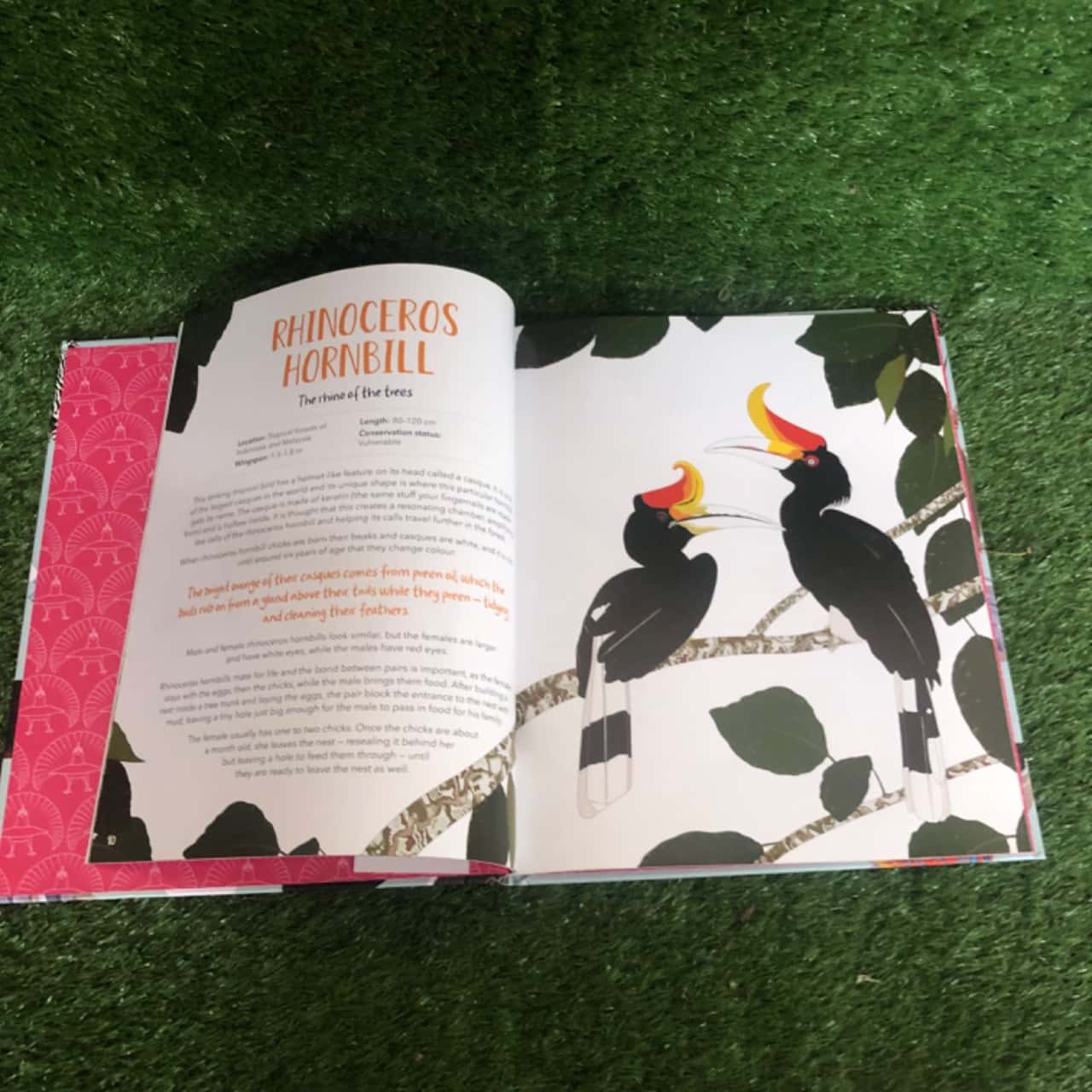 Book of Curious Birds by Jennifer Cossins(s)