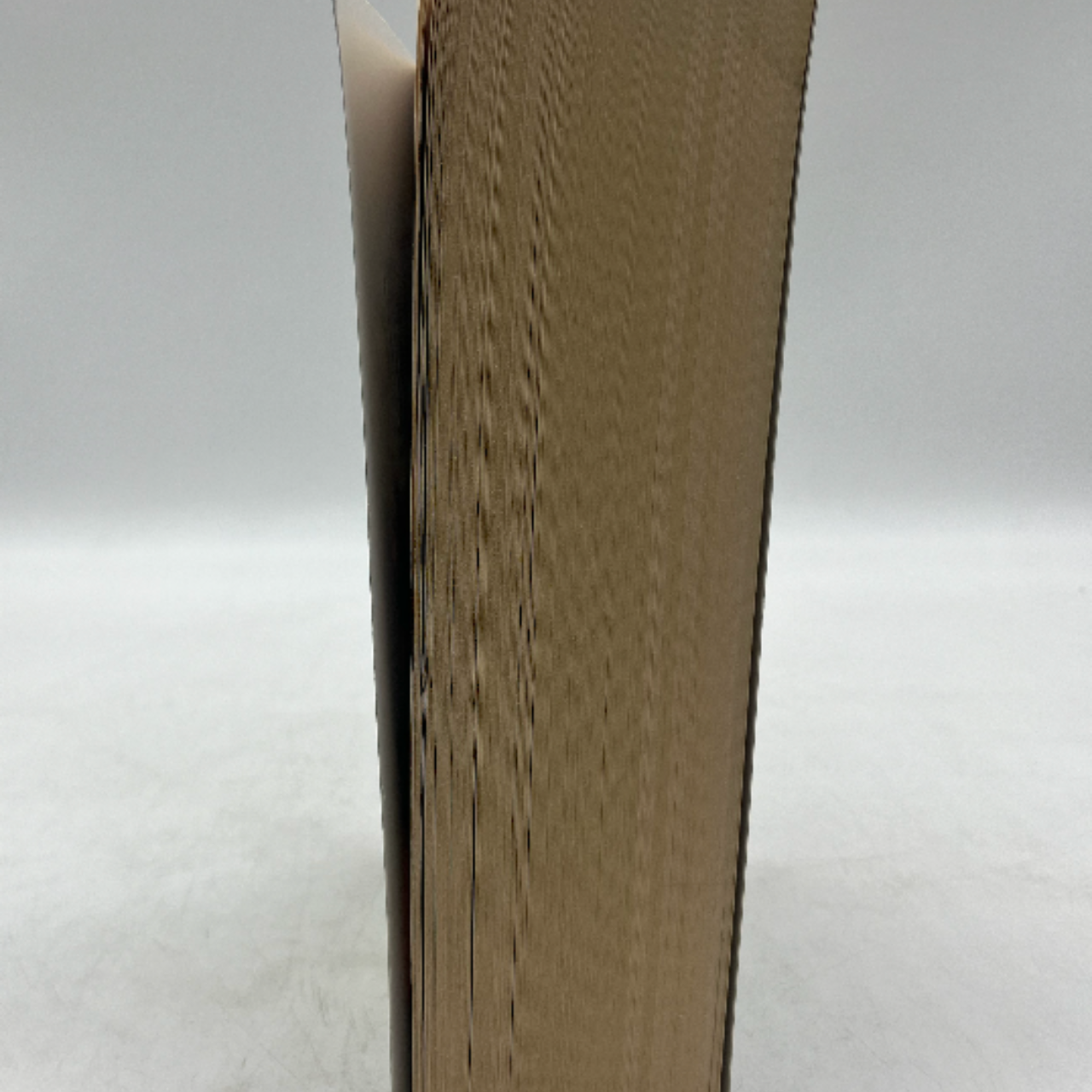 The Great Big Enormous Book of Tashi(s)