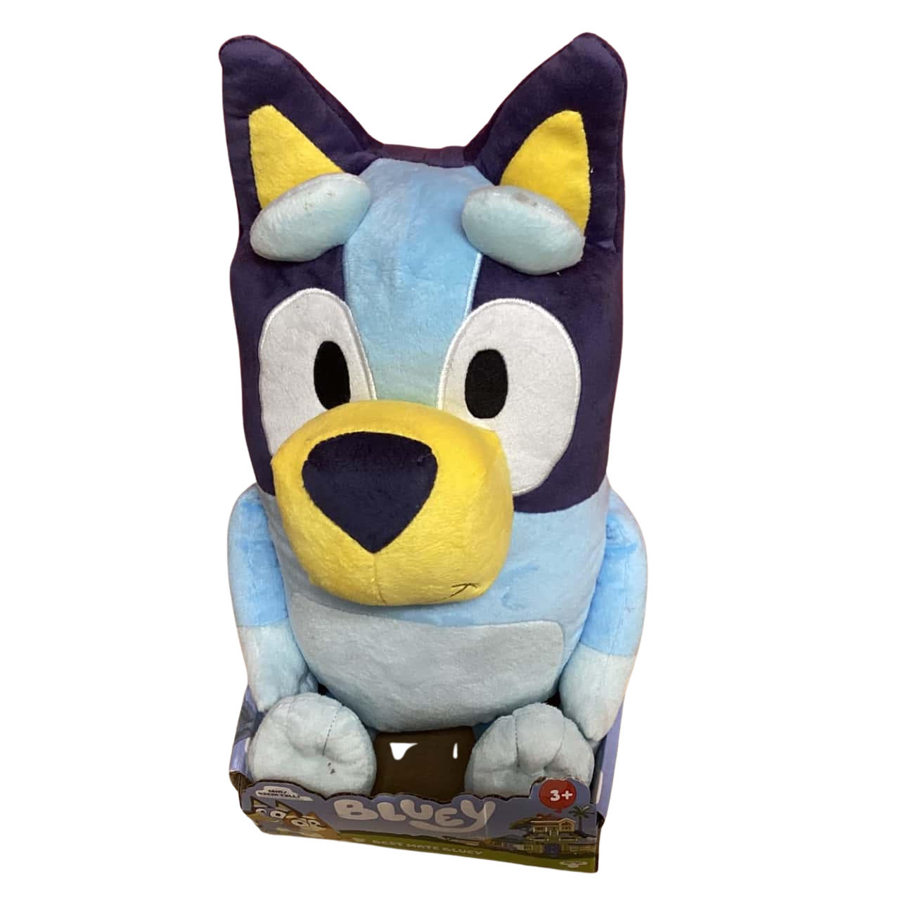 Bluey(s)