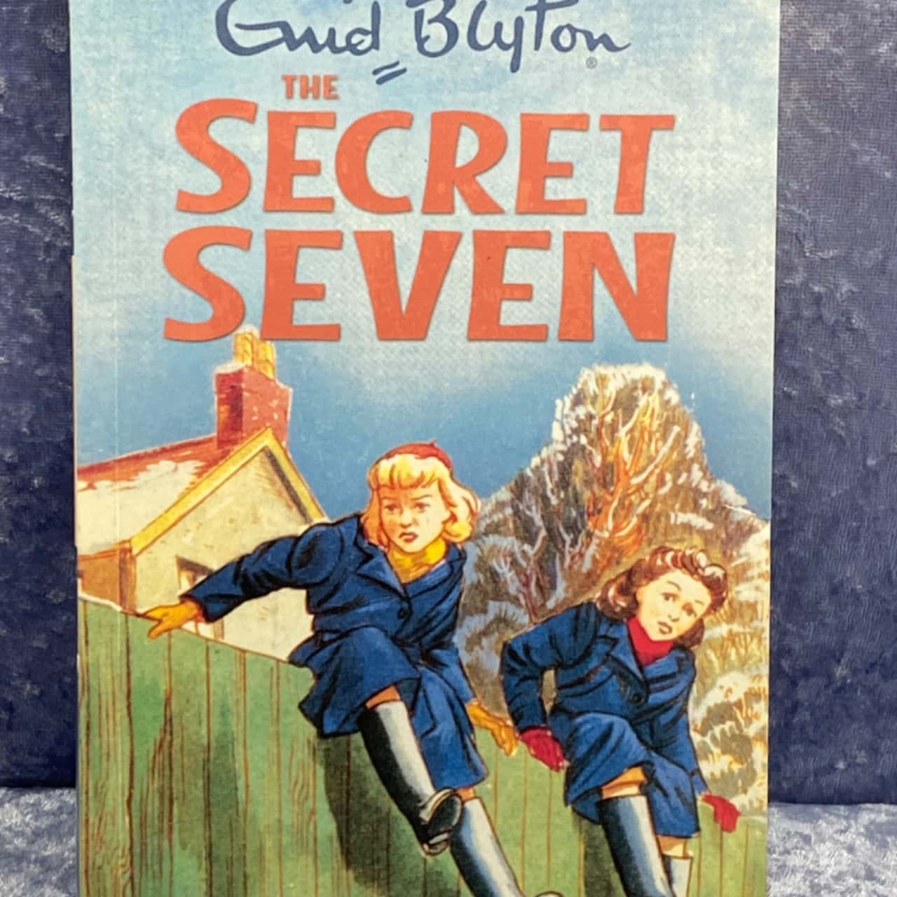 Enid Blyton’s The Secret Seven 13(s)