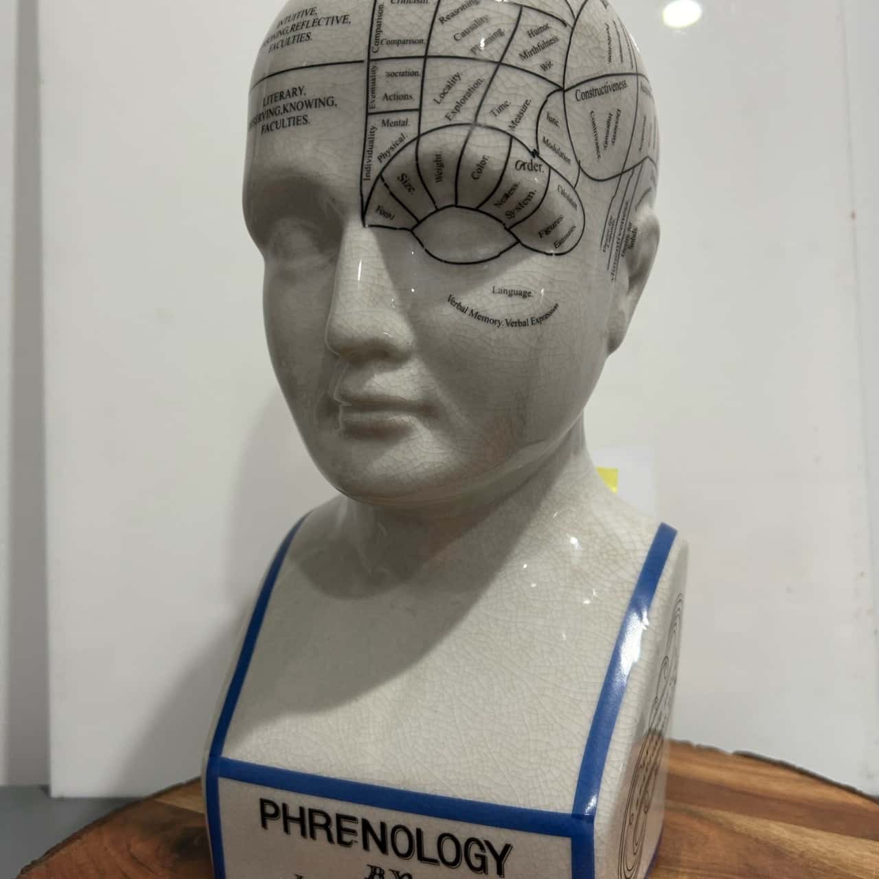 Phrenology Head(s)