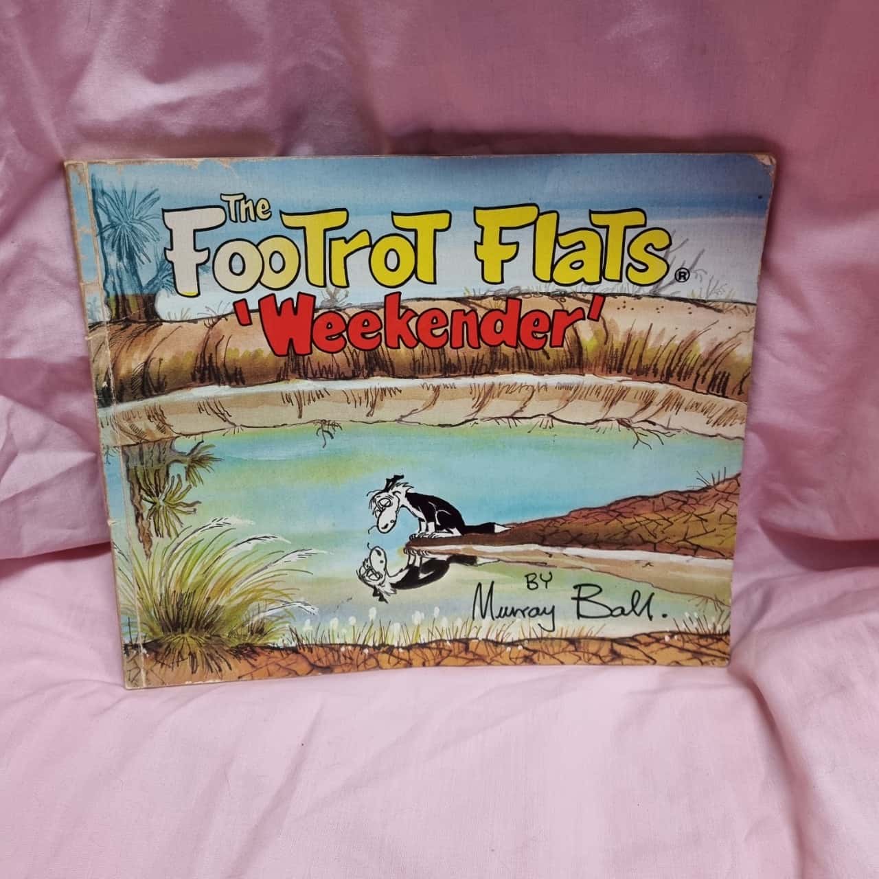 The FooTrot Flats, Weekender, part 1 Book