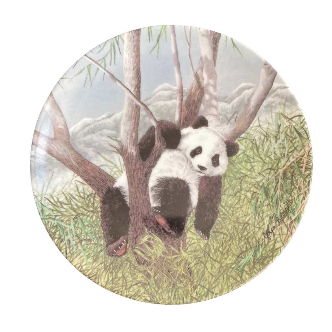 A LAZY AFTERNOON The Secret World Of The Panda Plate