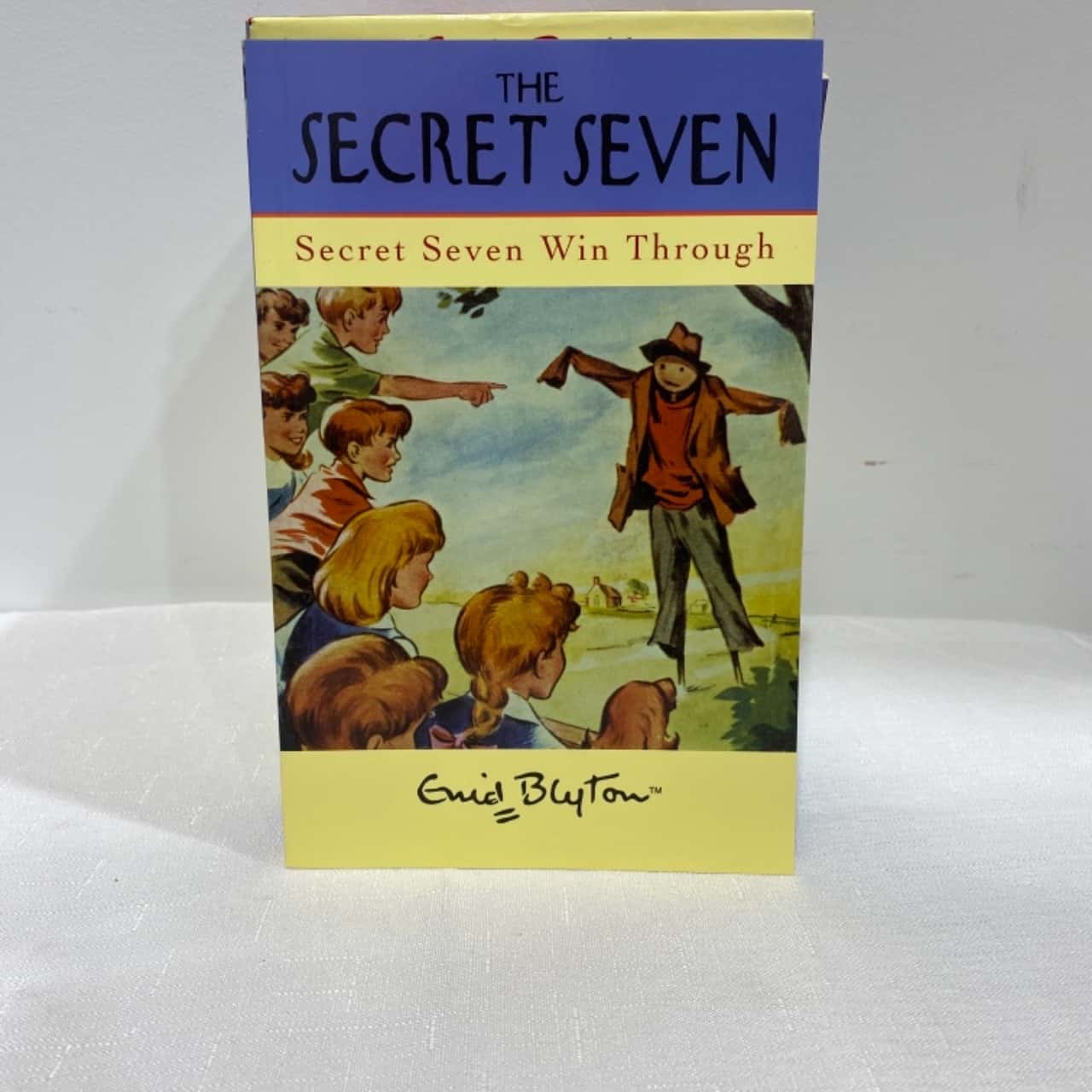 Enid Blyton ‘The Secret Seven’ Set of 16 Books(s)