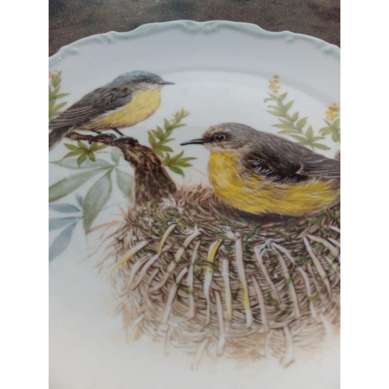 Royal Albert - Birds of The World Australian Birds - 1988 Eastern ...