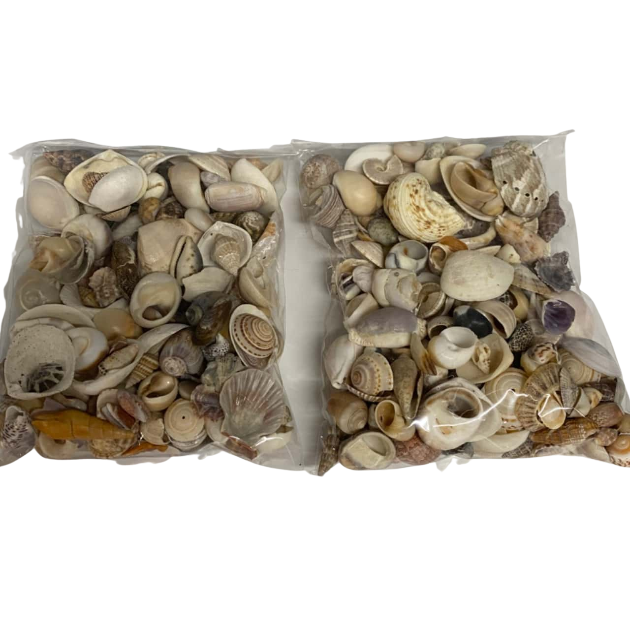 950g Assorted Shells
