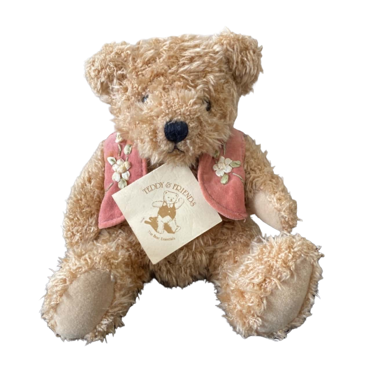 ** REDUCED ** Teddy & Friends Naomi Bear - New With Tags(s)