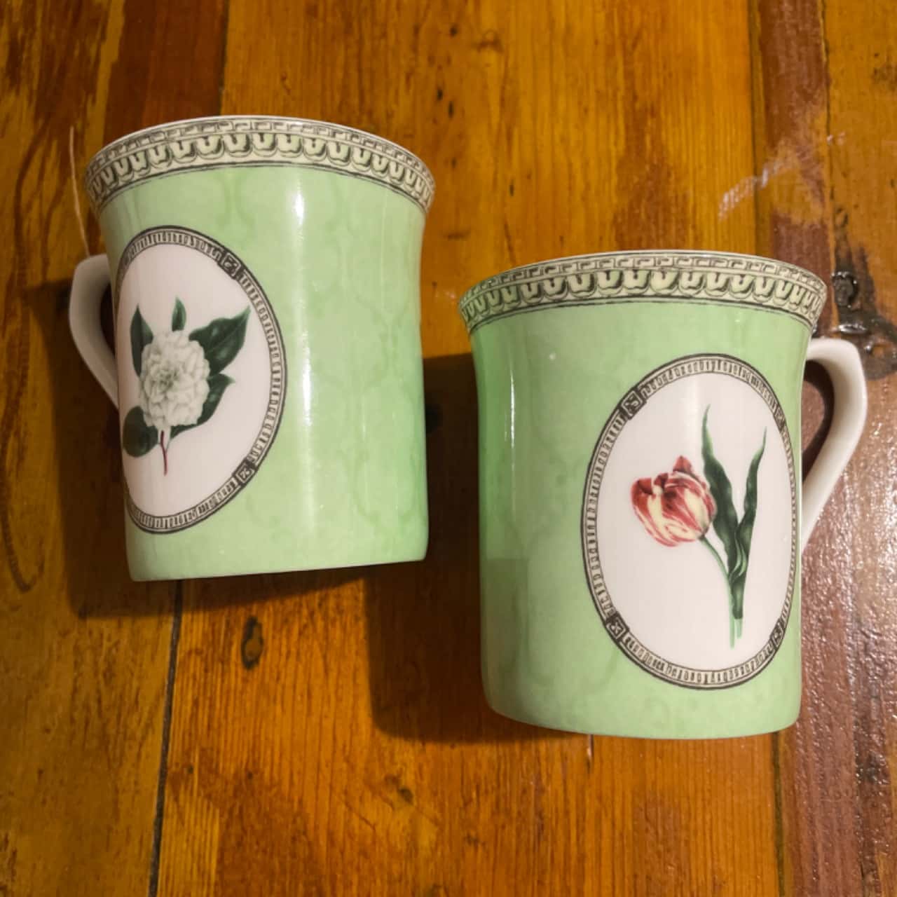Vintage Royal Horticulture Society Applebee Collection x2 mugs(s)