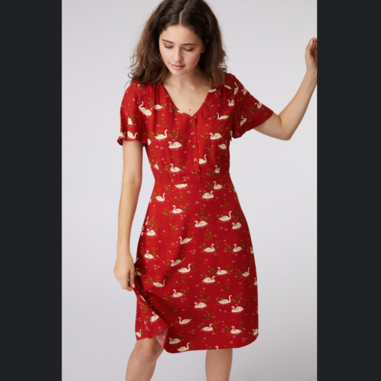 Princess Highway Red Swan Maroon Dress Size 10/M(s)