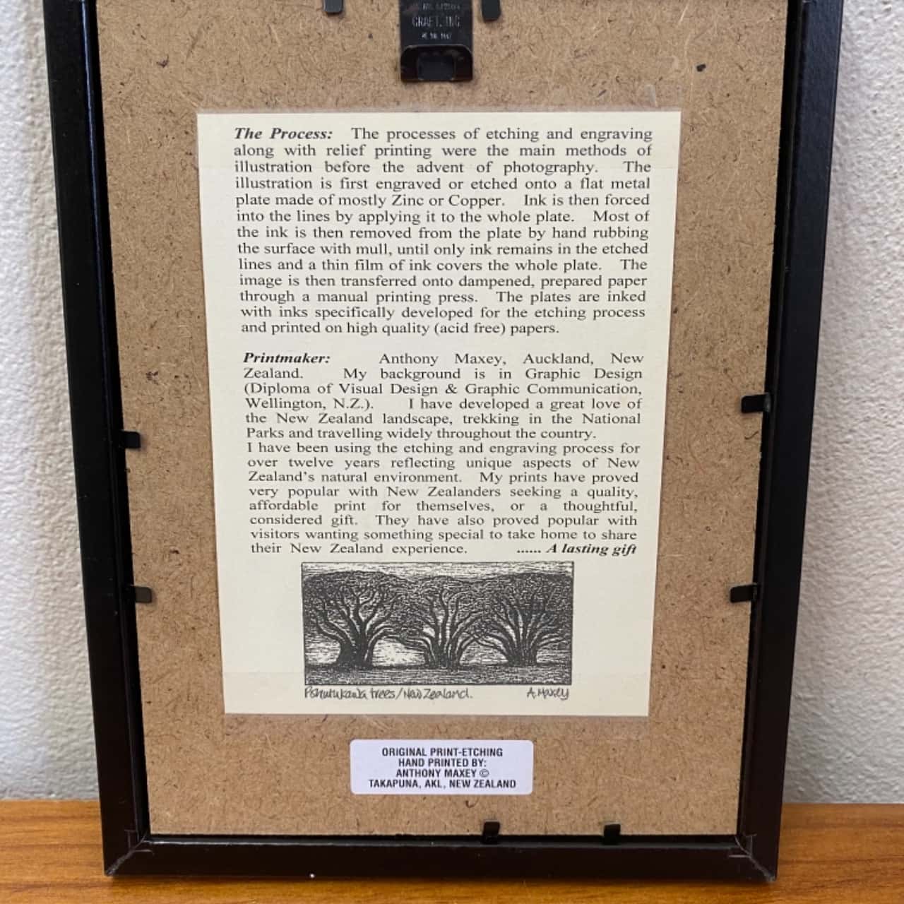 Anthony Maxey Rangitoto View NZ(s)