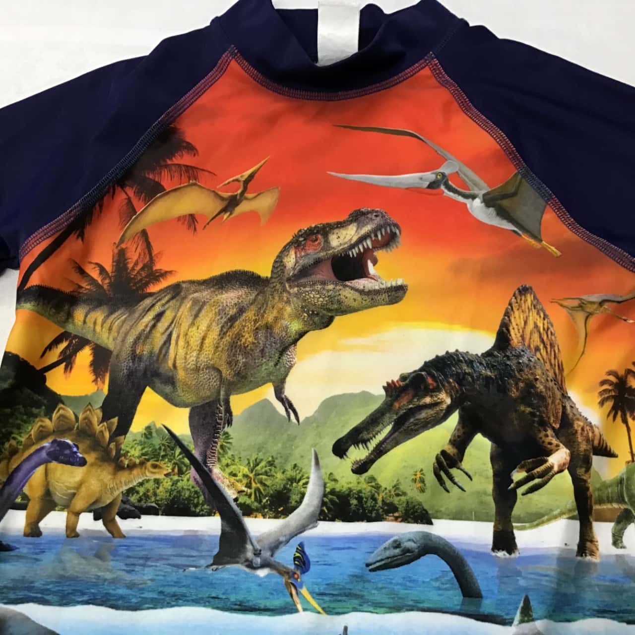 Target Boys Size 9 Navy Blue / White Dinosaurs Pattern Rashie Top