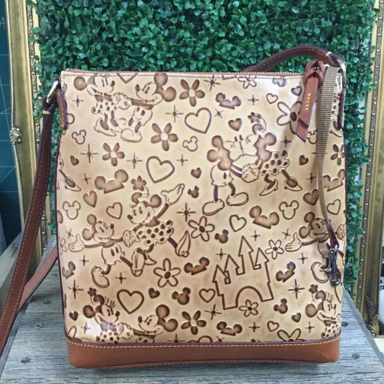 Dooney & Bourke(s)