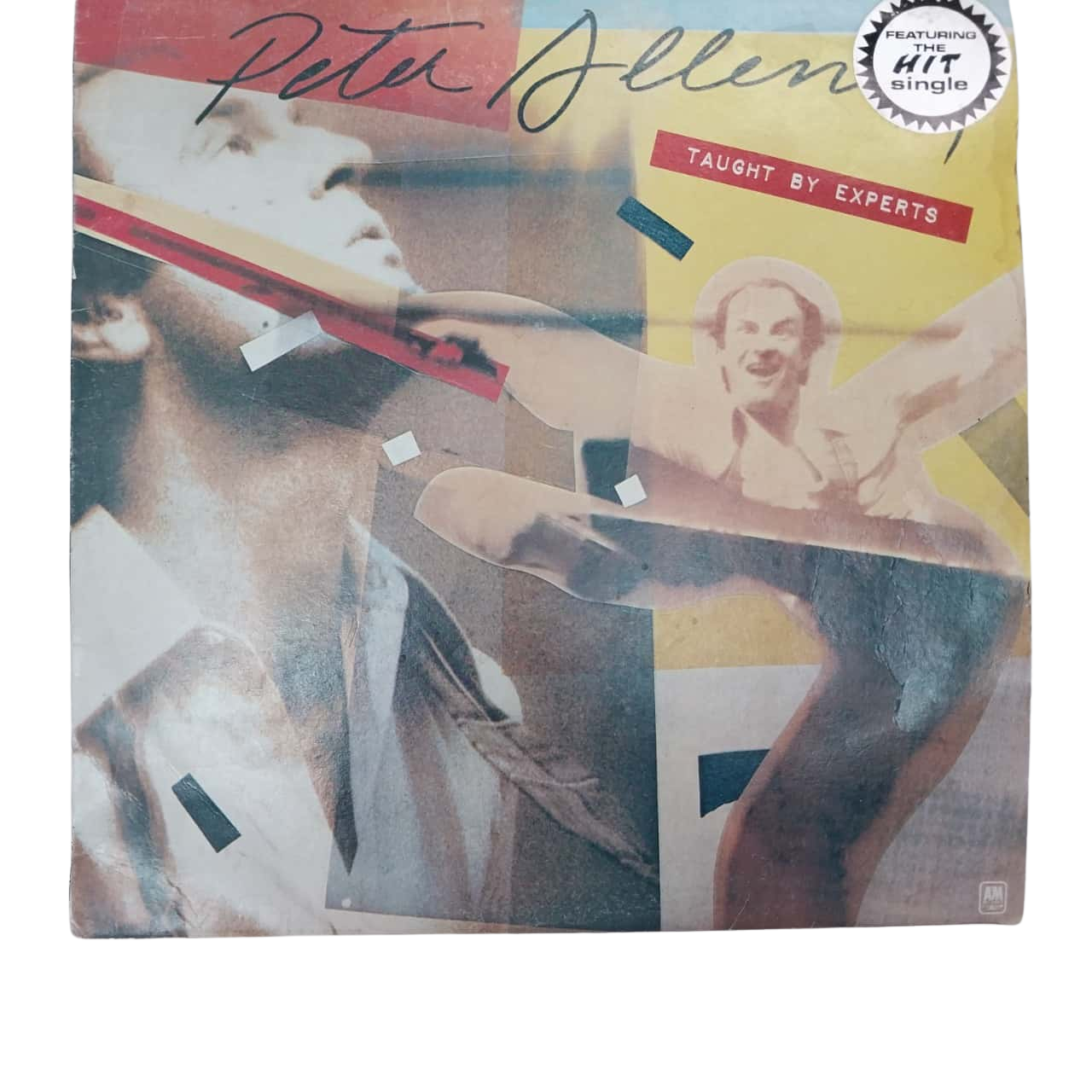 Peter Allen - taught by experts ( classical music vinyl record).