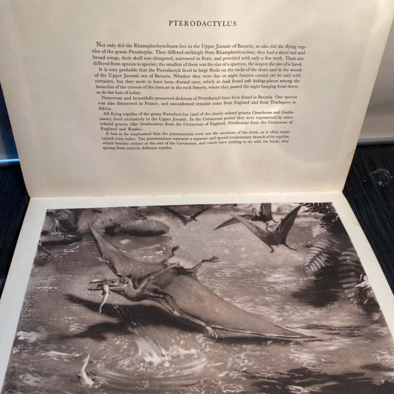 Prehistoric animals 50s 60s