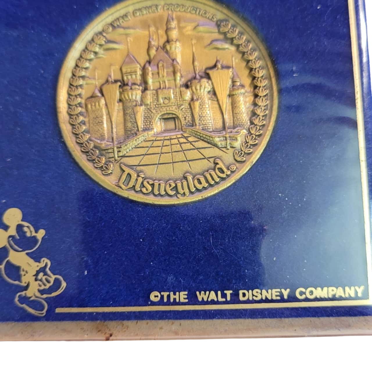Disneyland Coin(s)