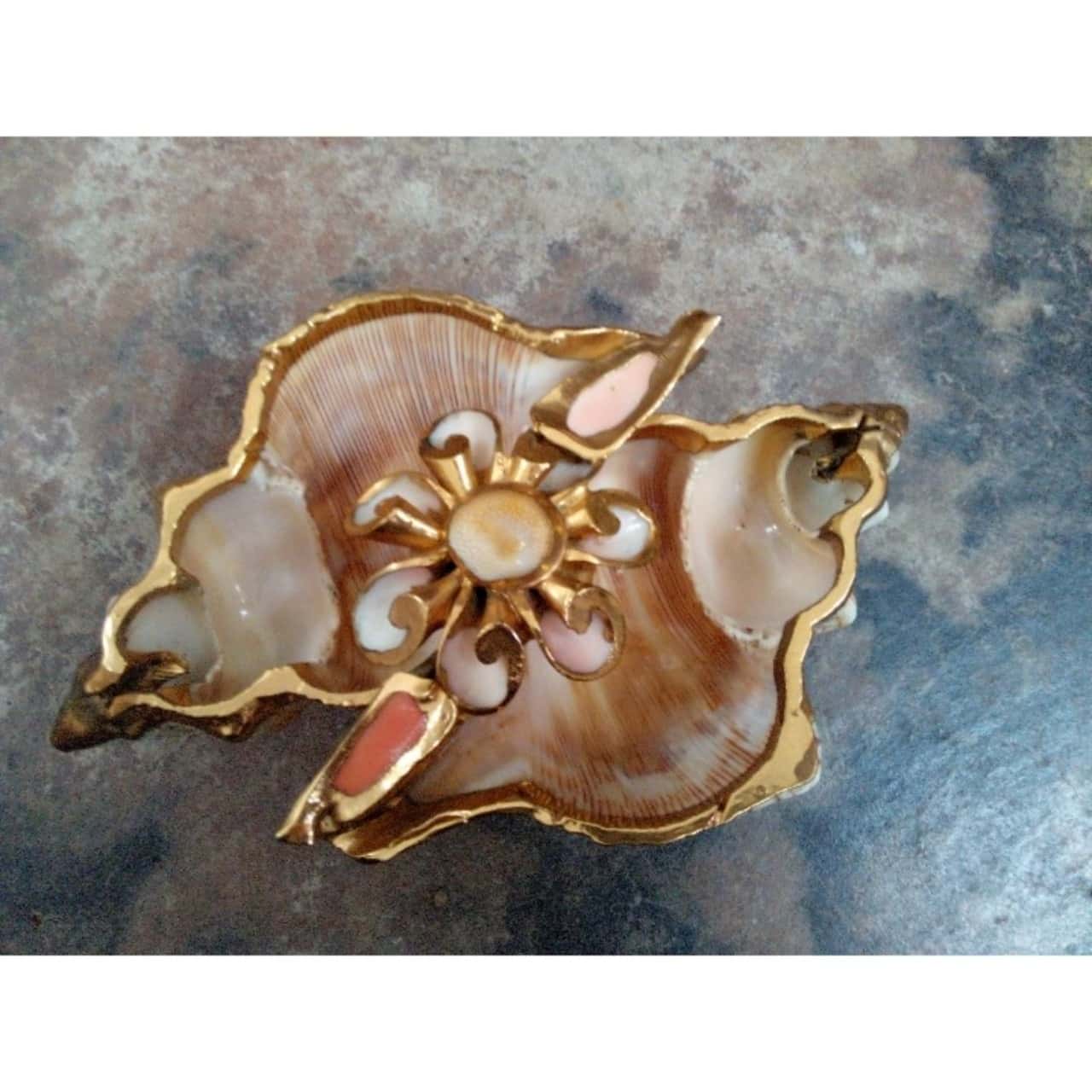 Beautiful Unusual Shell & Golden Bowl