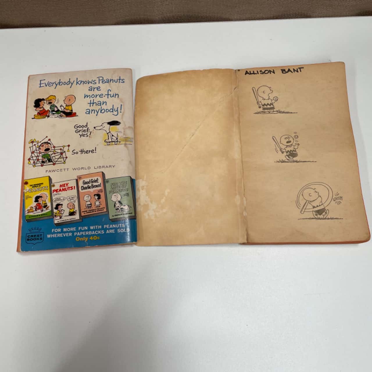 Here Comes Charlie Brown & Fun With Peanuts Books(s)