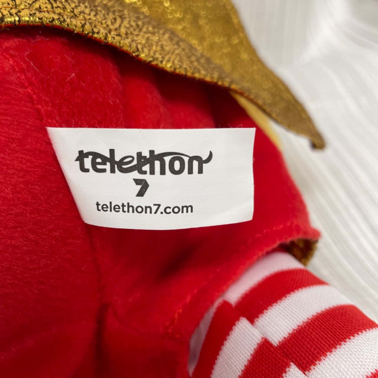 Official Channel 7 Telethon 50 Years Commemorative 2017 Limited Edition ...