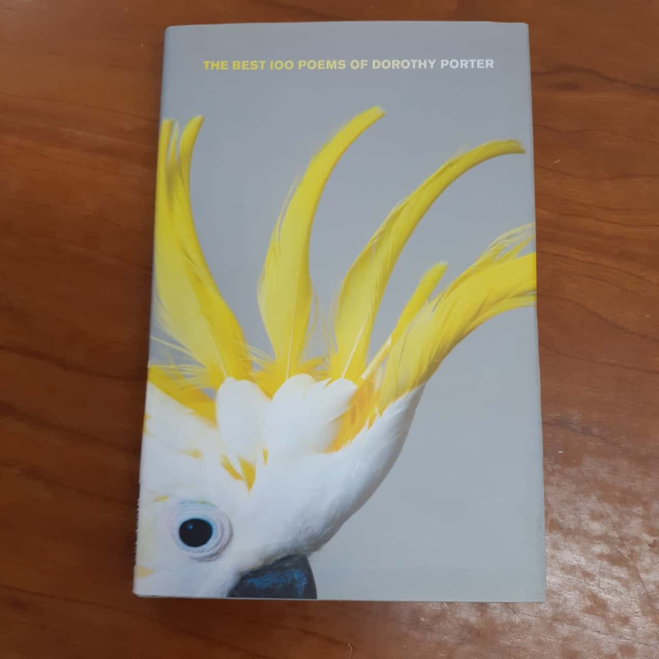 The Best 100 Poems Of Dorothy Porter