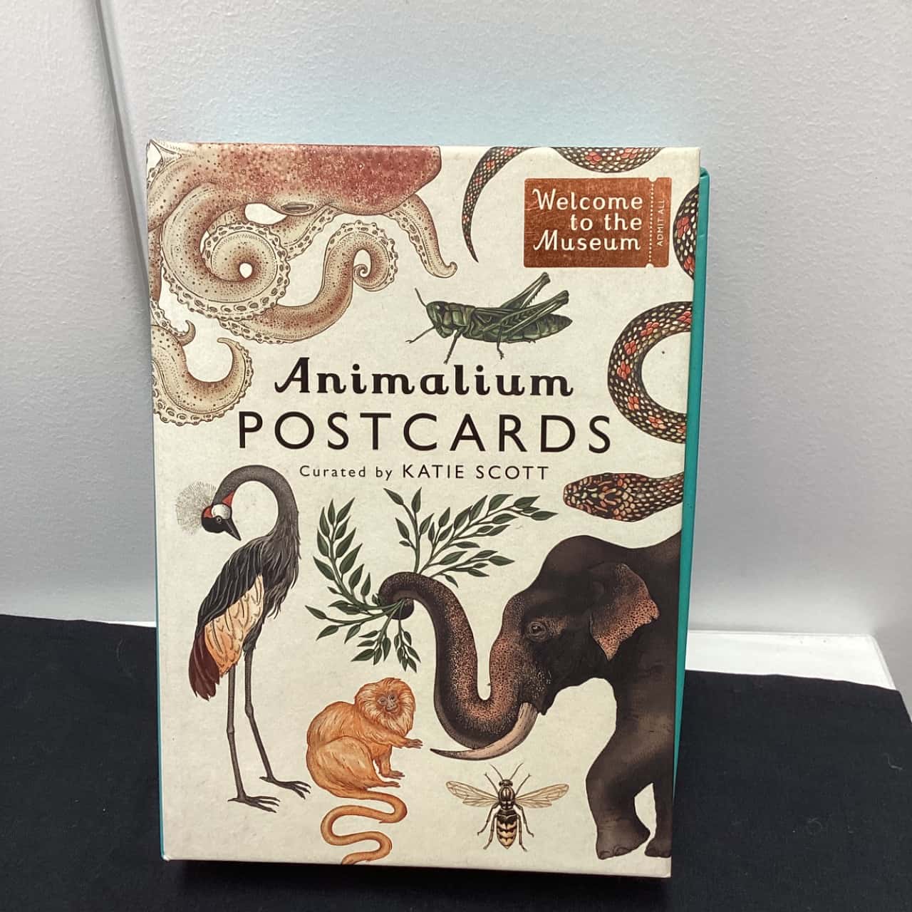 Animalium post cards in box -50