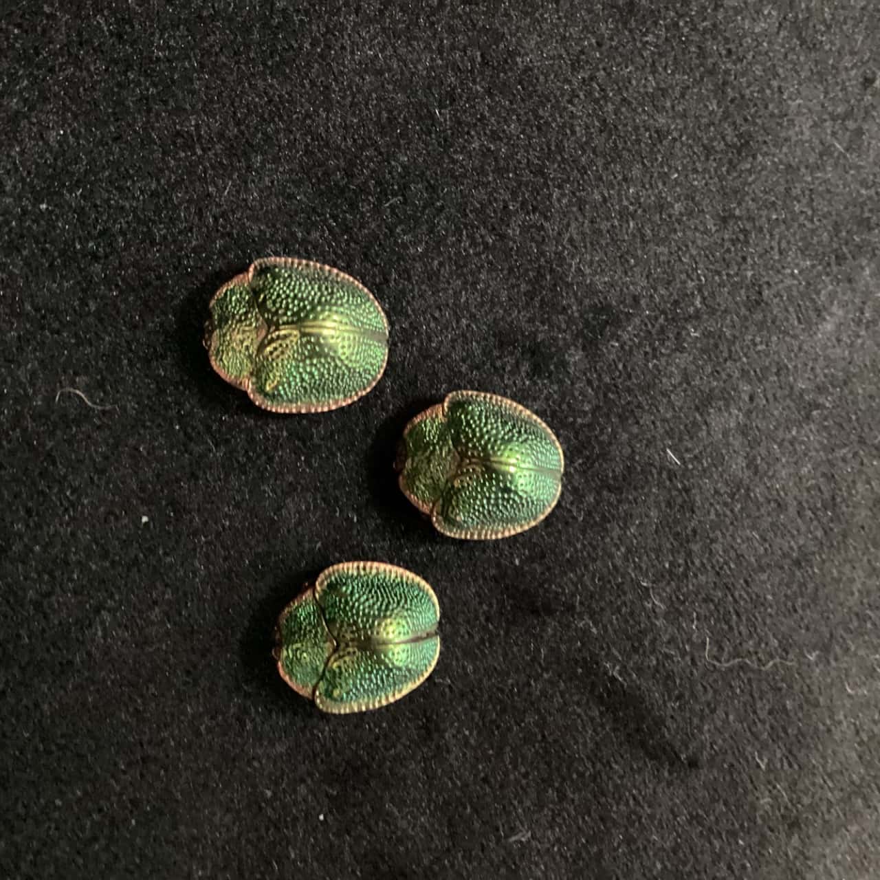 Vintage Egyptian Genuine Scarab Beetle x3(s)