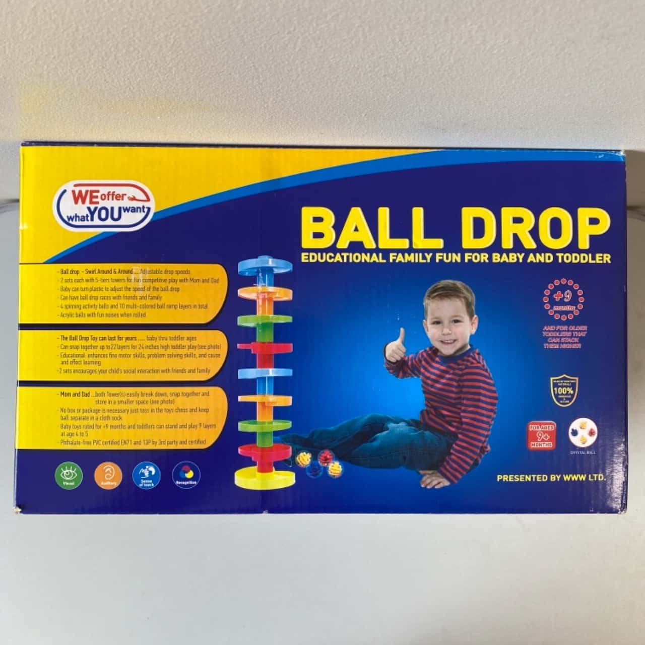Ball Drop Educational Toy (s)