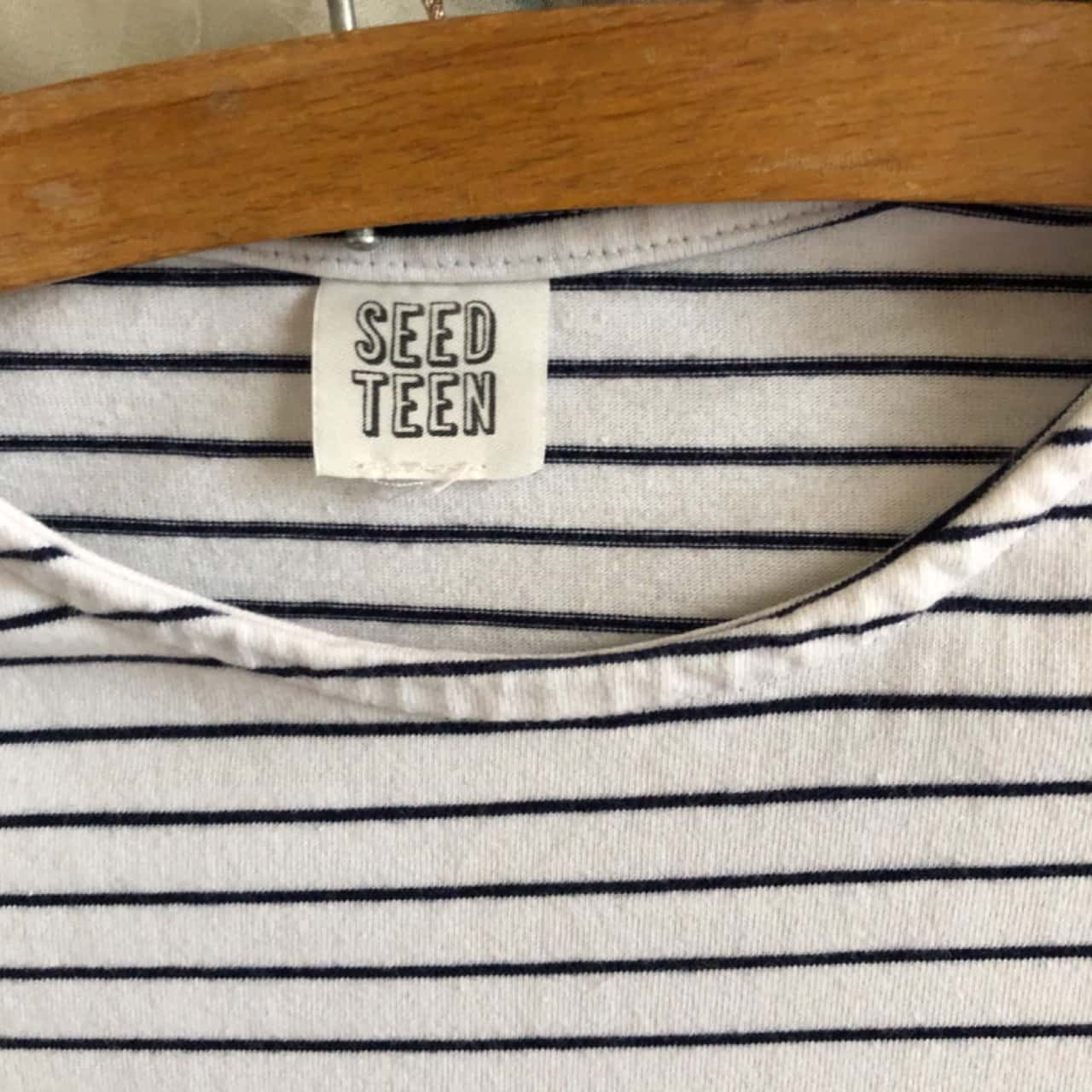 Seed Teen age 12 plus origami