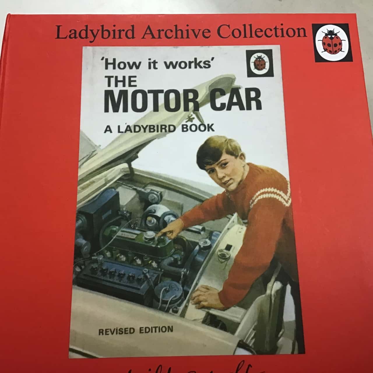 How it works The Motor Car Ladybird