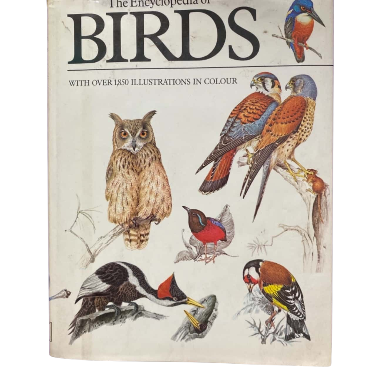 Reduced The Encyclopaedia for Birds by Peerage Books