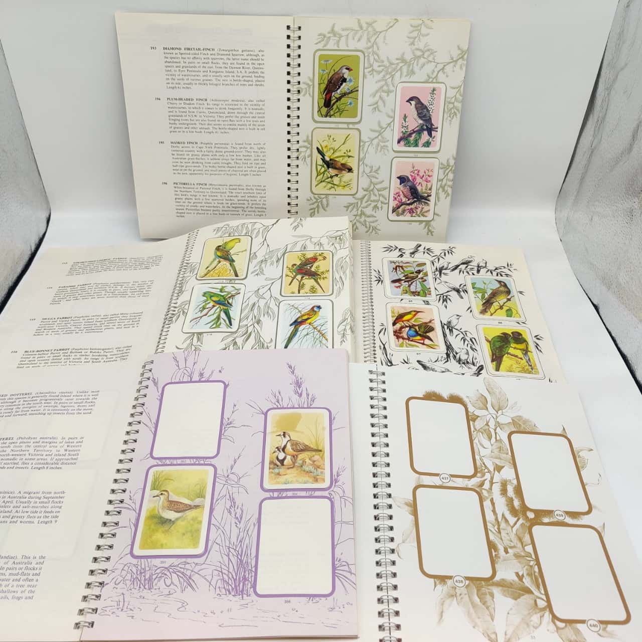 Tuckfields' Bird Card Studies With Notes For Birdwatchers & Australiana ...