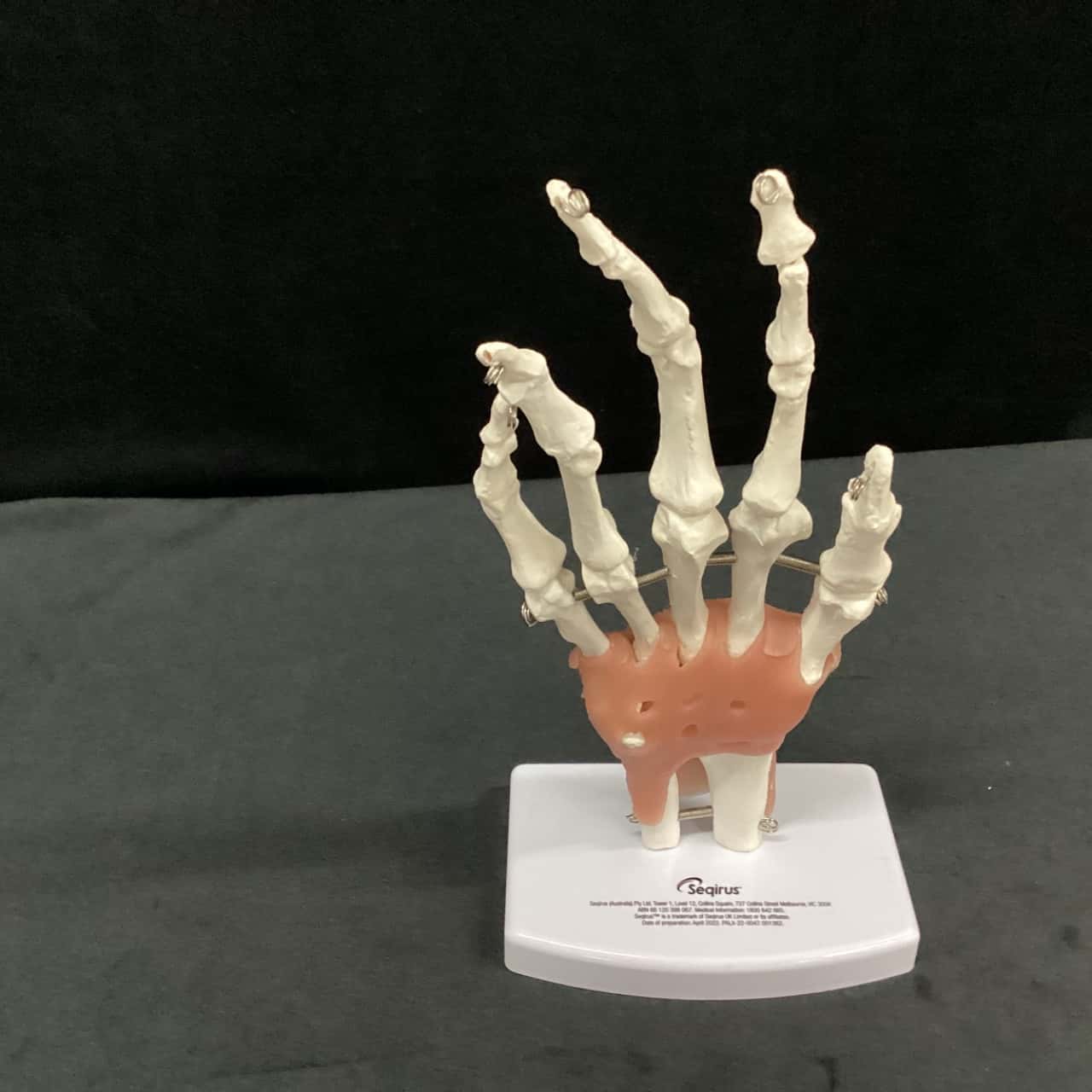 Medical Model Anatomical Human Hand Joint Model