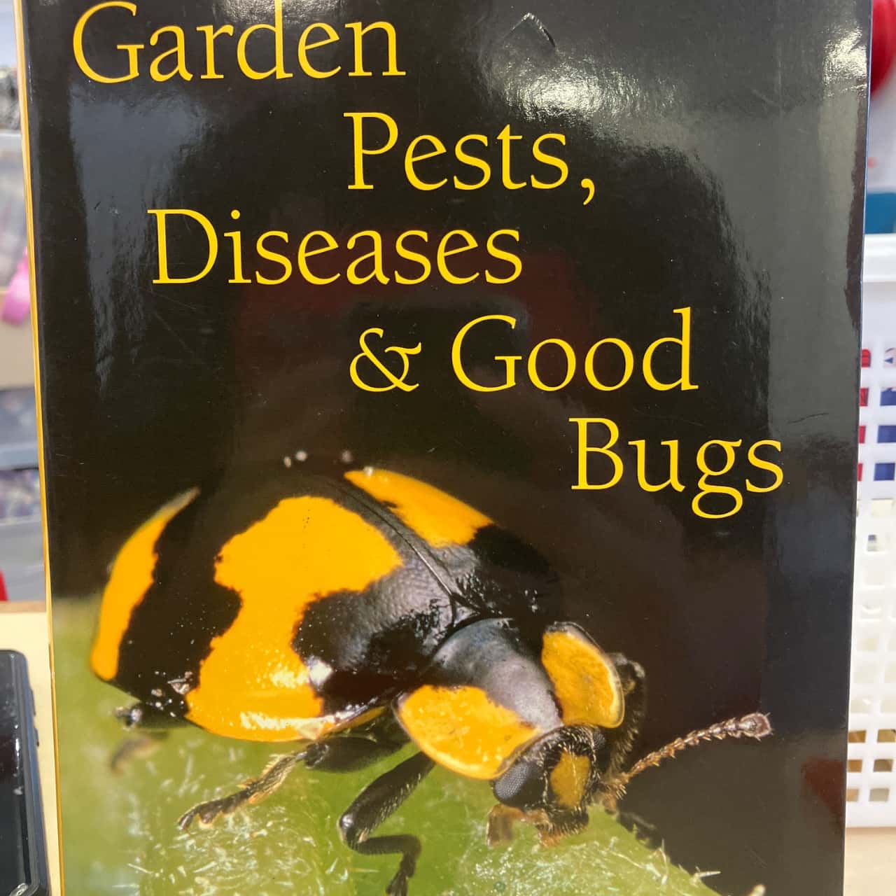 Garden pests, diseases and good bugs(s)