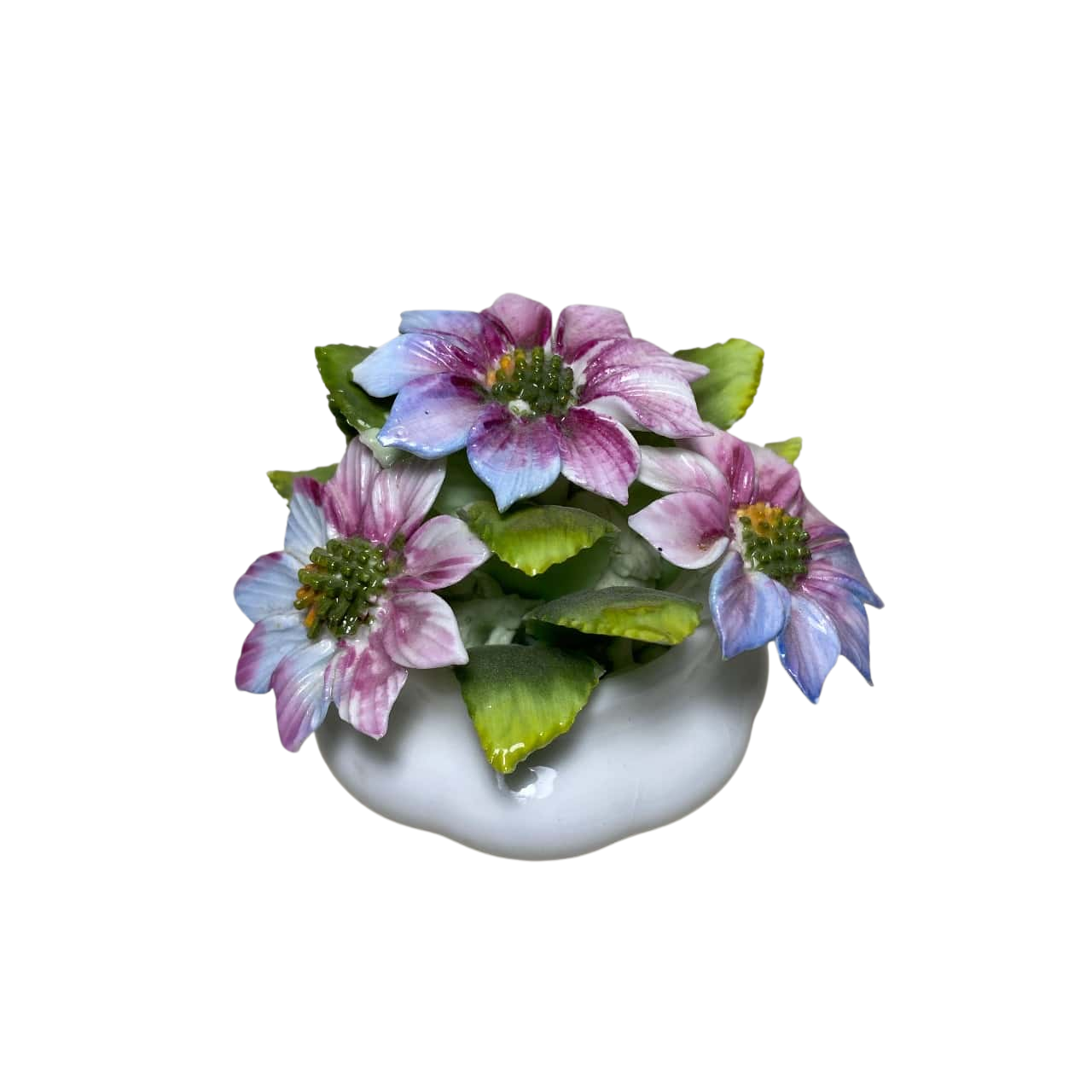 Royal Albert Daisy pot Display (s)