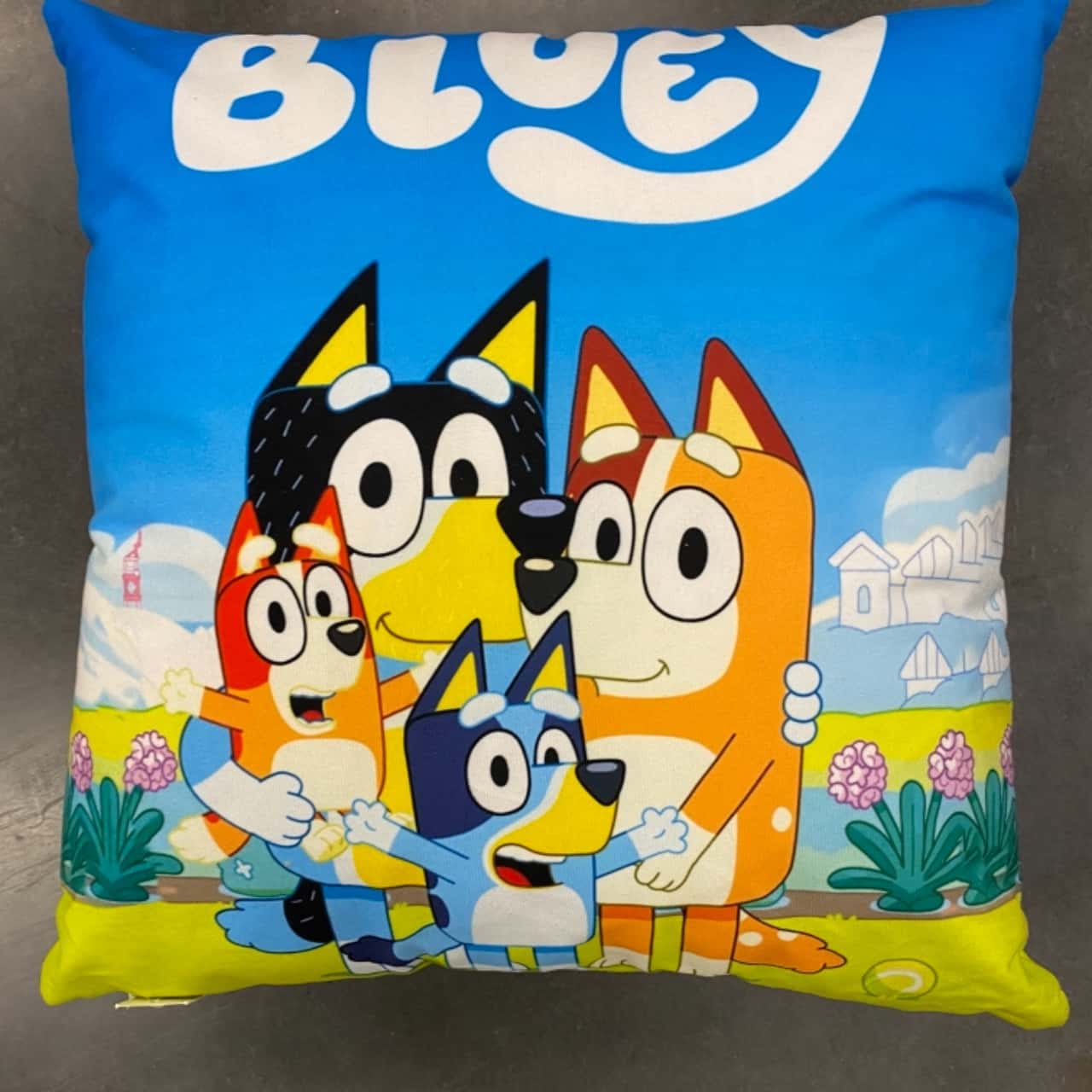 BLUEY CUSHION (s)