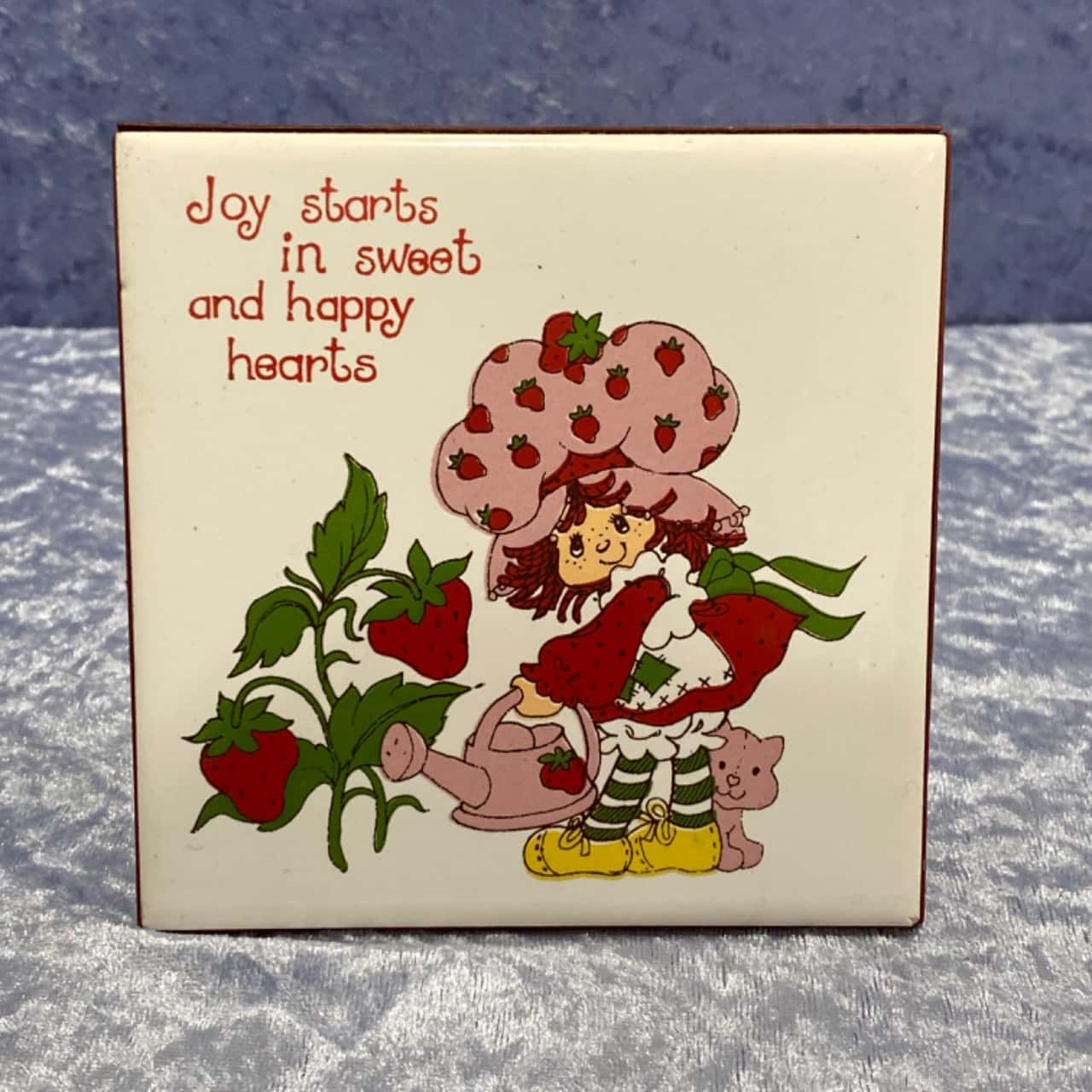 1980s Vintage Strawberry Shortcake Decorative Stand(s)