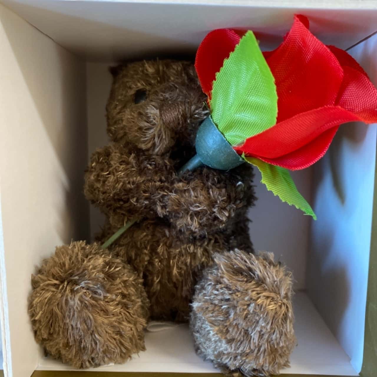Avon Mini Collectible Teddy Library Soft Toys(s)