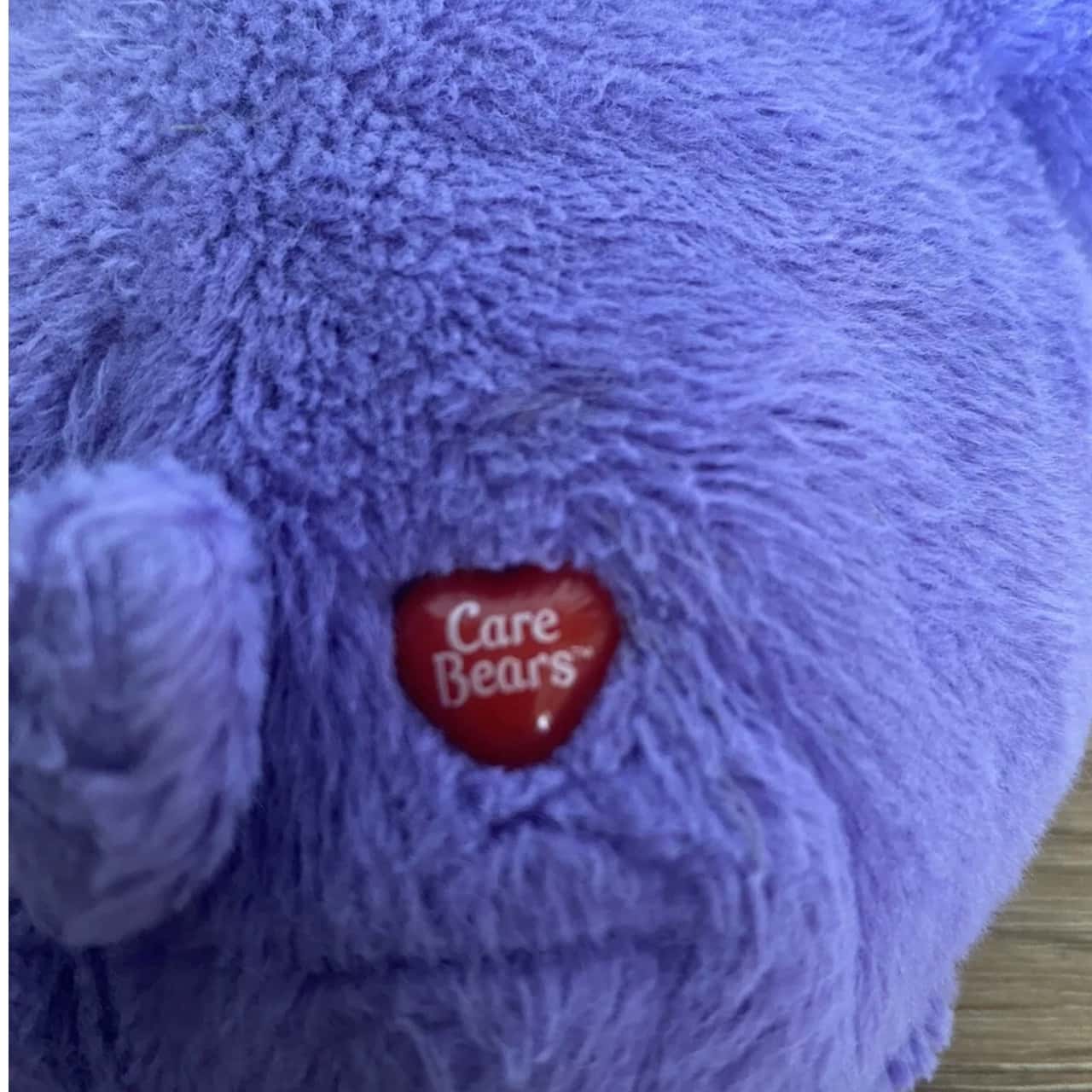 Care Bears Harmony Bear 2021 Hasbro Plush Toy 35cm