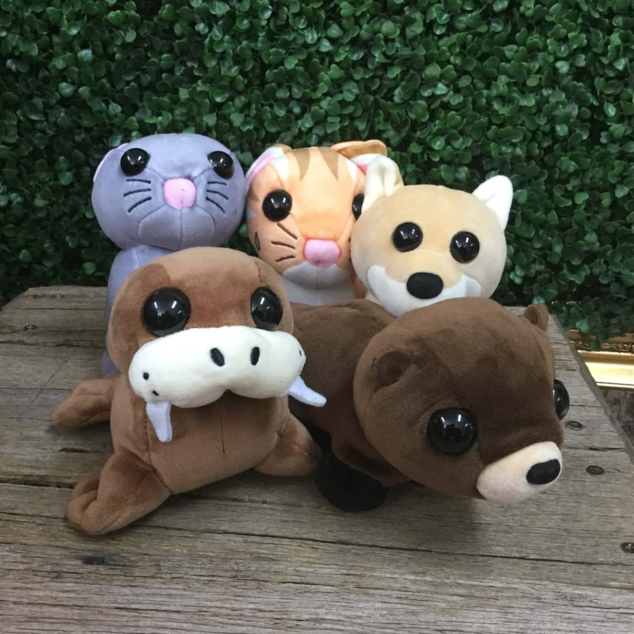 Adopt me pets plush(s)
