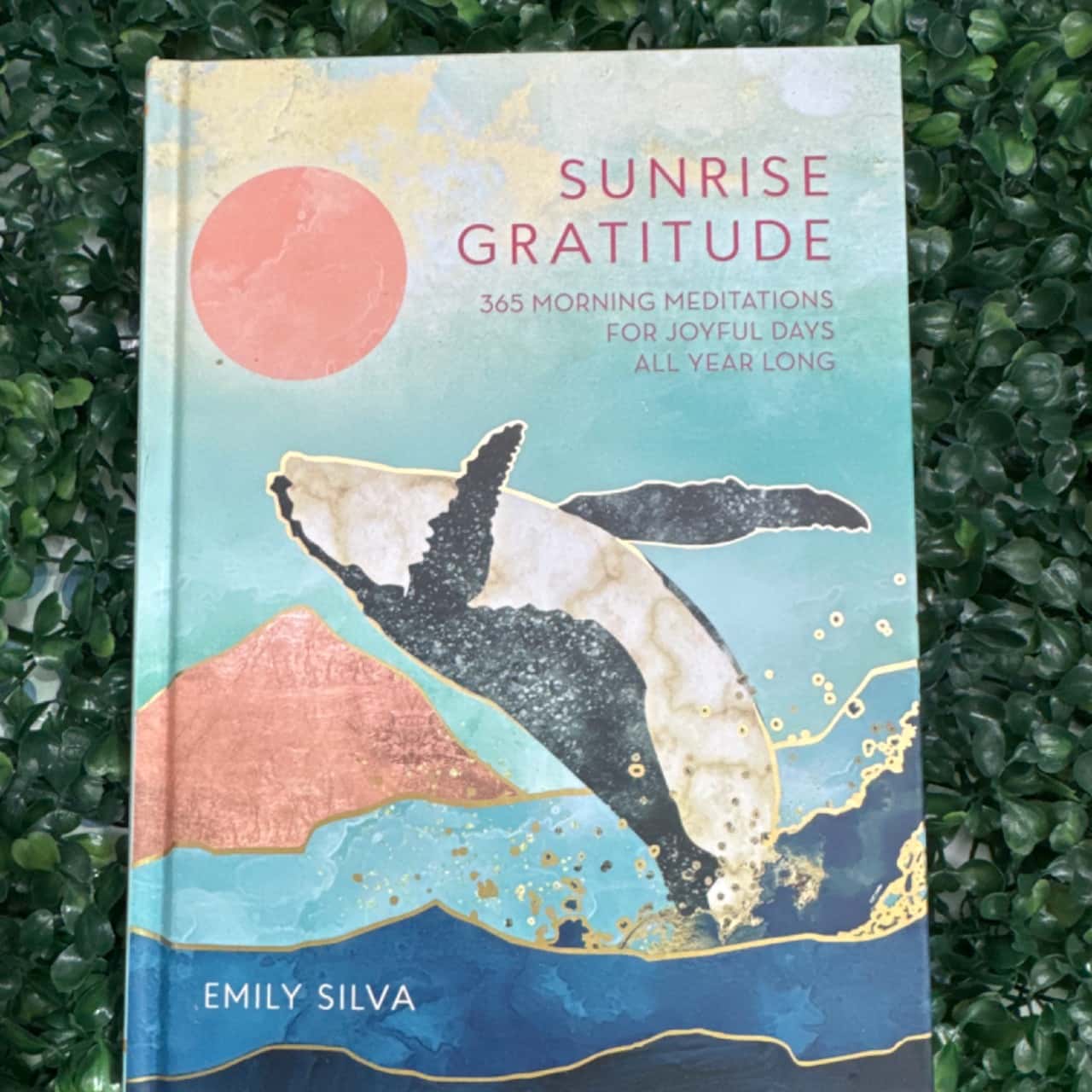 Sunrise Gratitude (s)