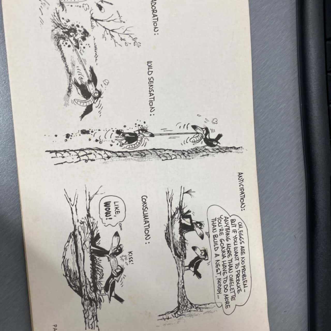 Footrot Flats #9 by Murray Ball vintage Retro comic Oct 1984