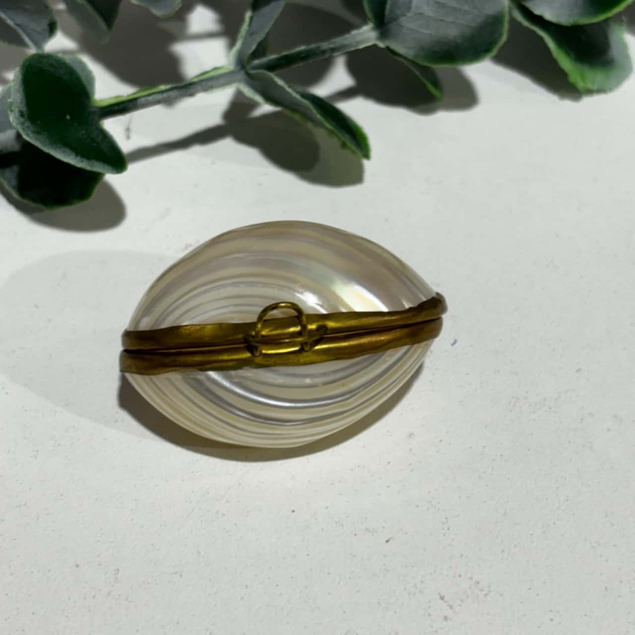 Collectible Mother of Pearl Look Seashell Trinket Pill Box with Hinged ...