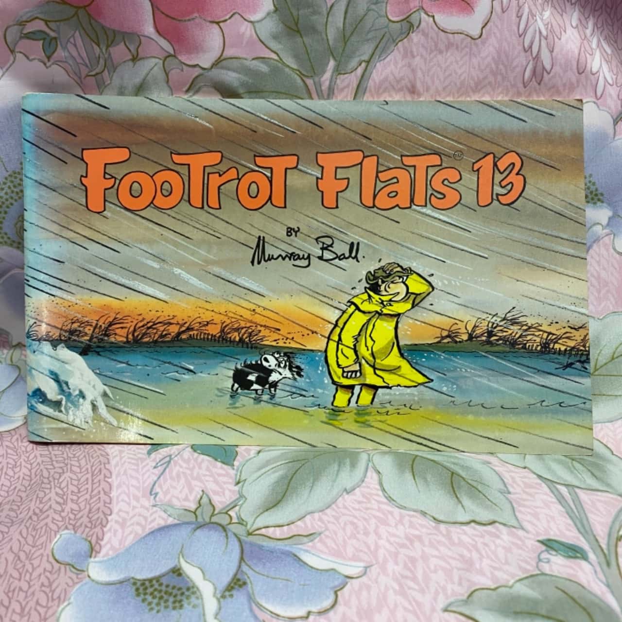The Footrot Flats by Murray Ball 4 Pack
