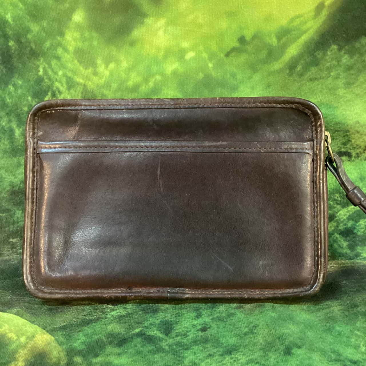 Coach Unisex Genuine Cowhide Leather Bag Brown (s)