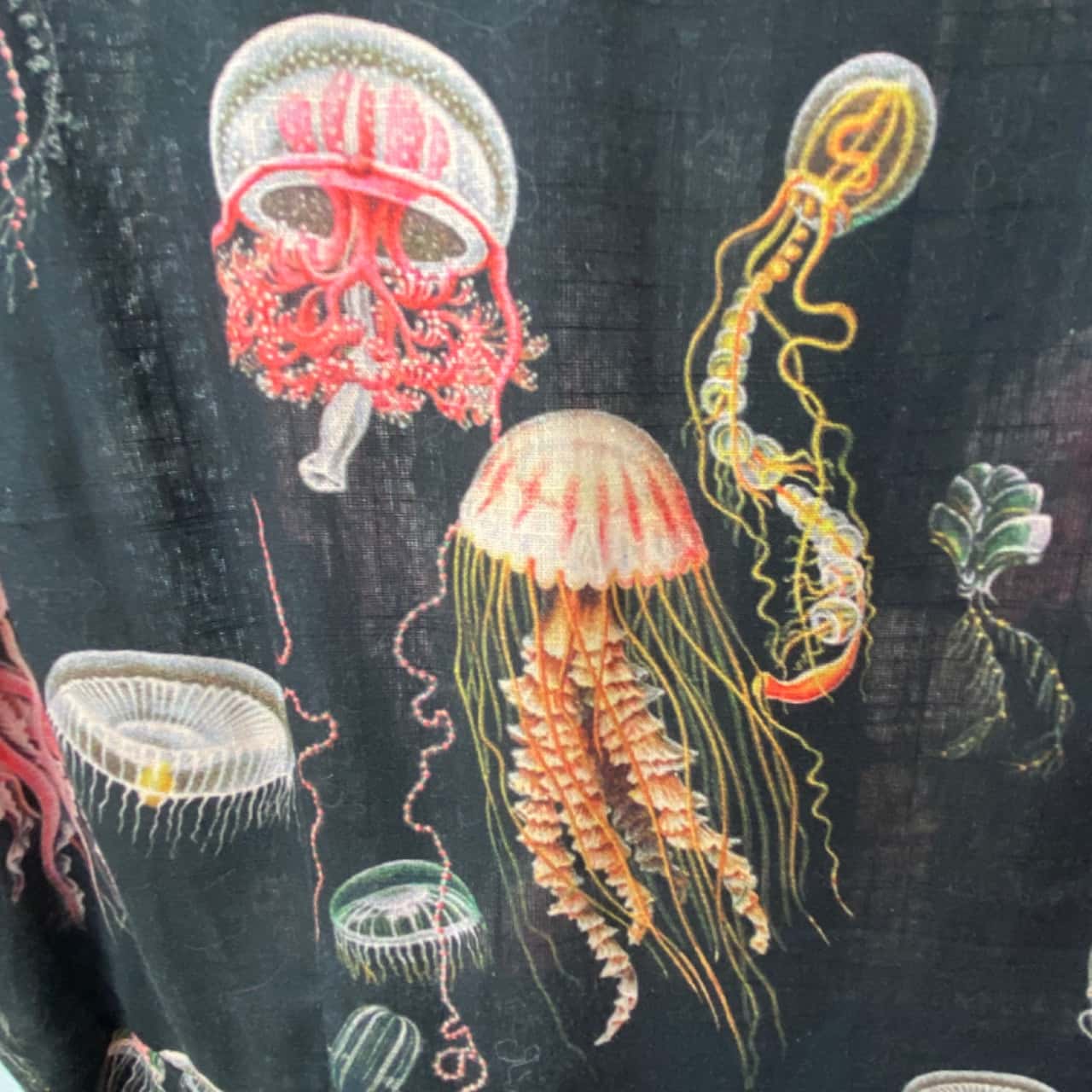 Dangerfield Size 12 Short Sleeve Dress Jellyfish print / Black (s)