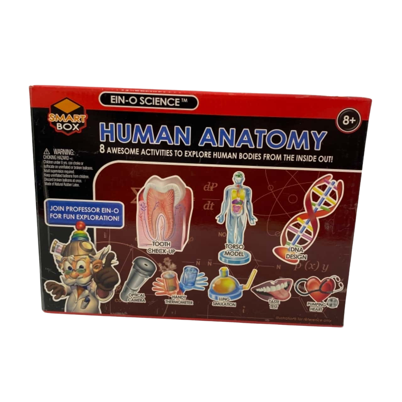 Human Anatomy- 8 Awesome Activities to explore human bodies from the ...