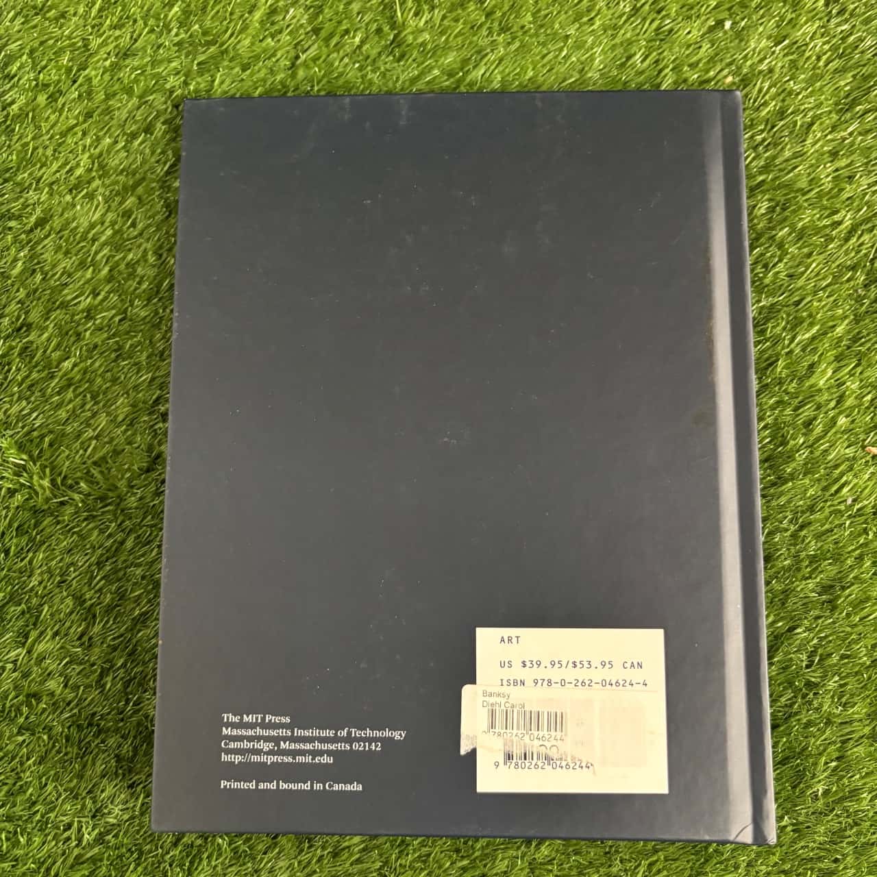 Banksy: Completed by Carol Diehl