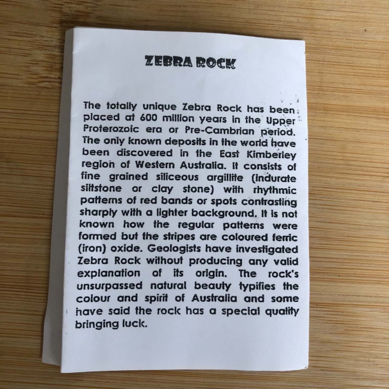 Primordial Zebra Rock Earrings (New)(s)